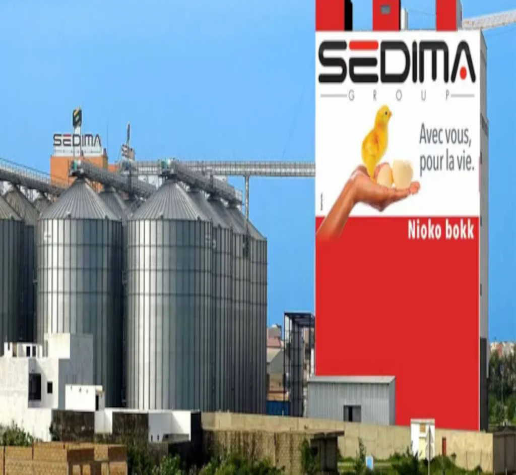 Comment les entreprises comme la Sedima peuvent gérer les difficultés ...
